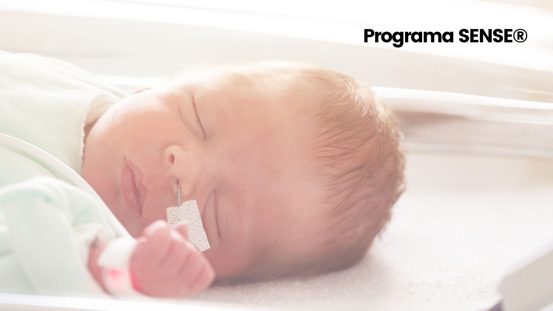 ¿Conoces el programa SENSE®? - Aytona Formación